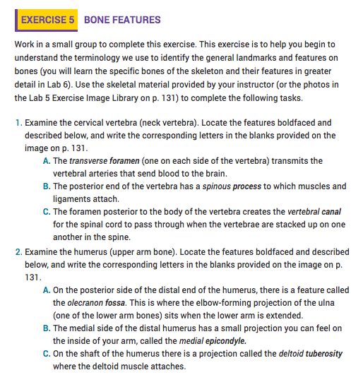 Solved EXERCISE 4 BONE SHAPES Work in a small group or alone | Chegg.com