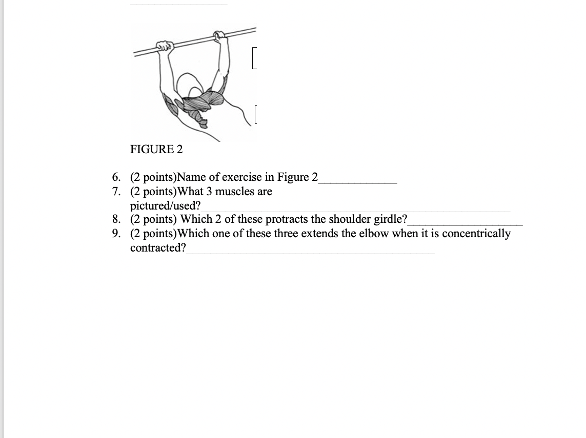 Solved FIGURE 2 6. (2 points)Name of exercise in Figure 2 7. | Chegg.com