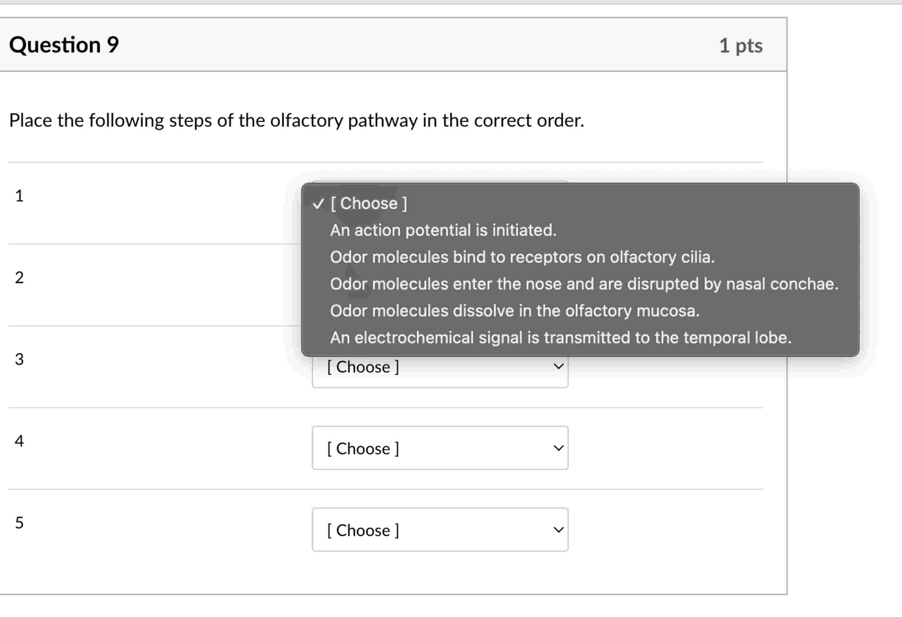 Solved Question 9Place the following steps of the olfactory | Chegg.com