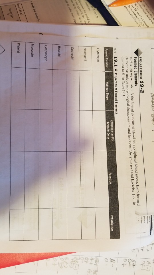 Solved PRE-LAB EXERCISE 19-2 Formed Elements In this unit we | Chegg.com