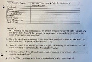 Solved Compass Activity 1: Two-Point Discrimination | Chegg.com