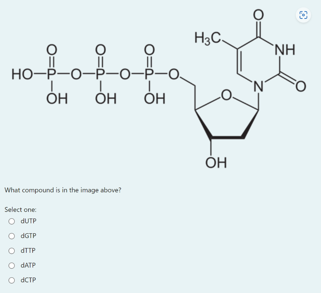 What compound is in the image above? Select one: dUTP | Chegg.com