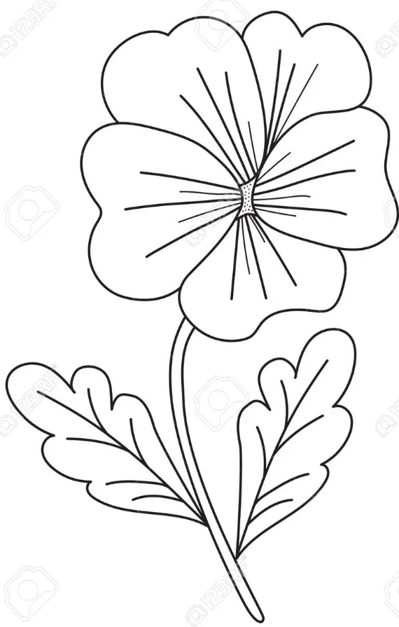 Solved A) draw this picture with general path or ellipse | Chegg.com