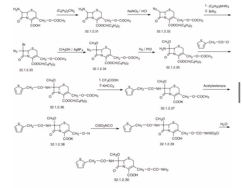 Solved Please show the complete mechanism for this 10 step | Chegg.com