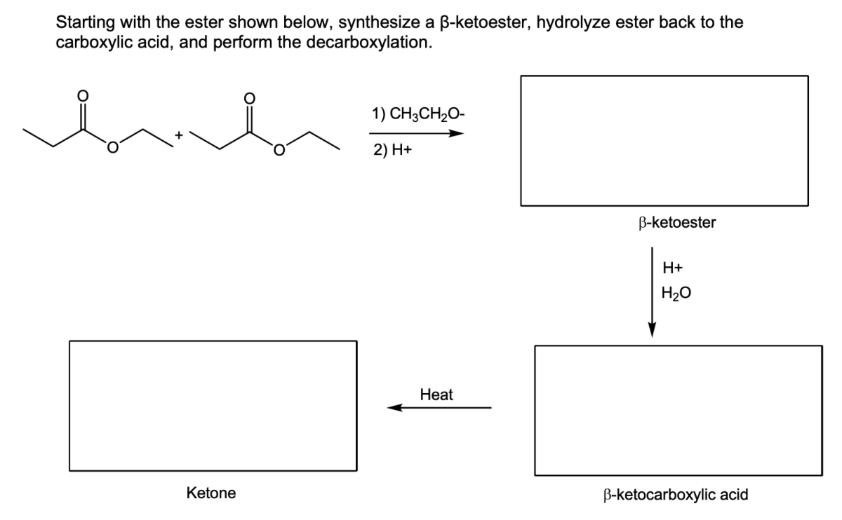 Solved Starting with the ester shown below, synthesize a | Chegg.com
