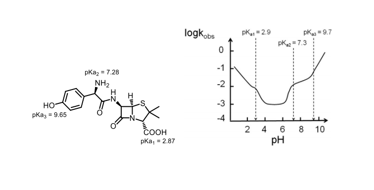 13. The followings are the structure of amoxicillin | Chegg.com