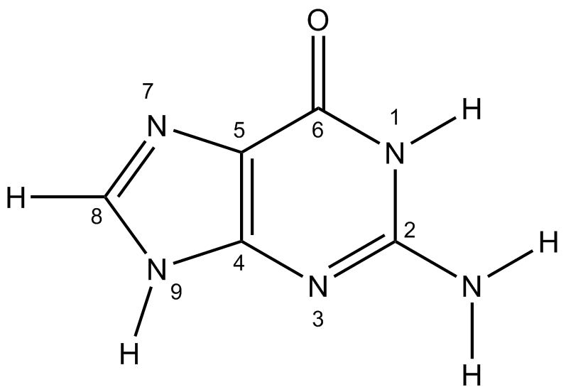 Solved Which atom of guanine forms the N-glycosidic bond to | Chegg.com
