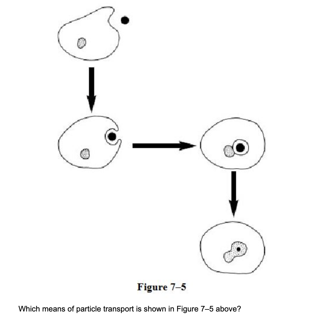 Solved Figure 7-5Which means of particle transport is shown | Chegg.com