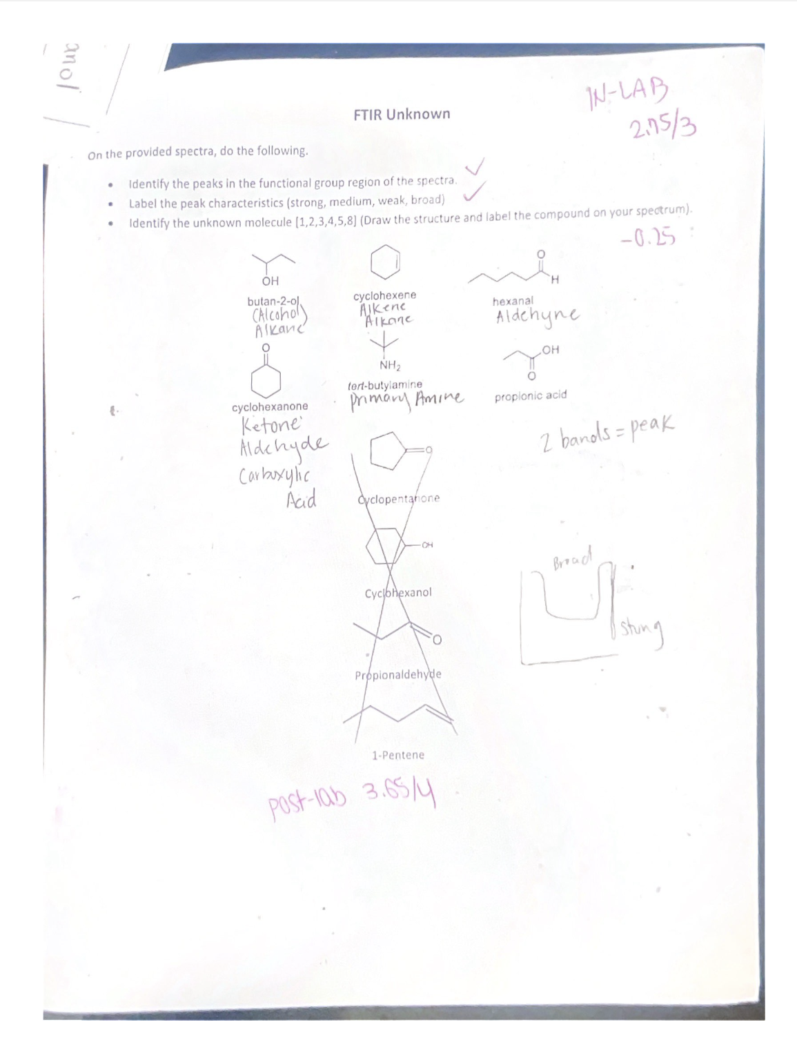 Solved please write two separate paragraphs (one for each | Chegg.com Solved please write two separate paragraphs (one for each | Chegg.com
