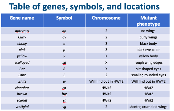 Solved 2 e 3 р 3 Table of genes, symbols, and locations Gene | Chegg.com