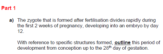 Solved Part 1a) ﻿The zygote that is formed after | Chegg.com
