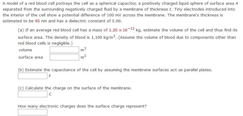 Solved A model of a red blood cell portrays the cell as a | Chegg.com