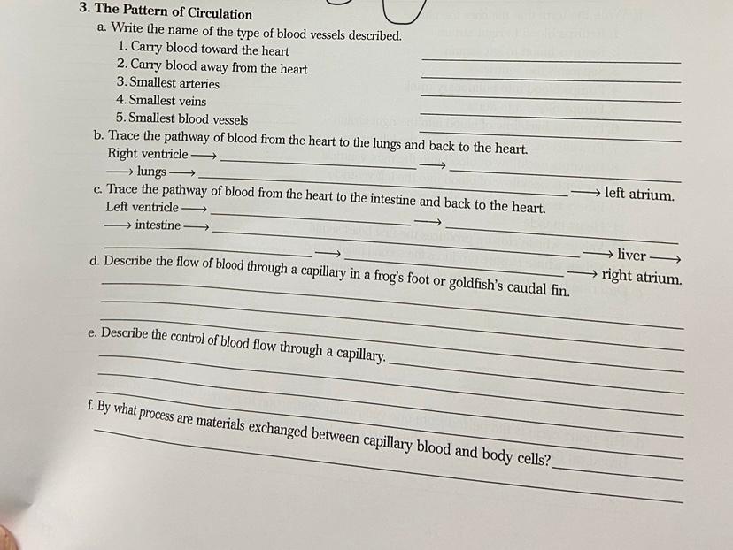 Solved 3. The Pattern of Circulation a. Write the name of | Chegg.com