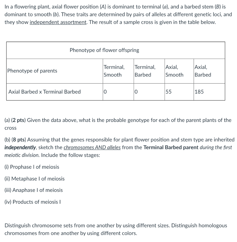 Solved In a flowering plant, axial flower position (A) is | Chegg.com