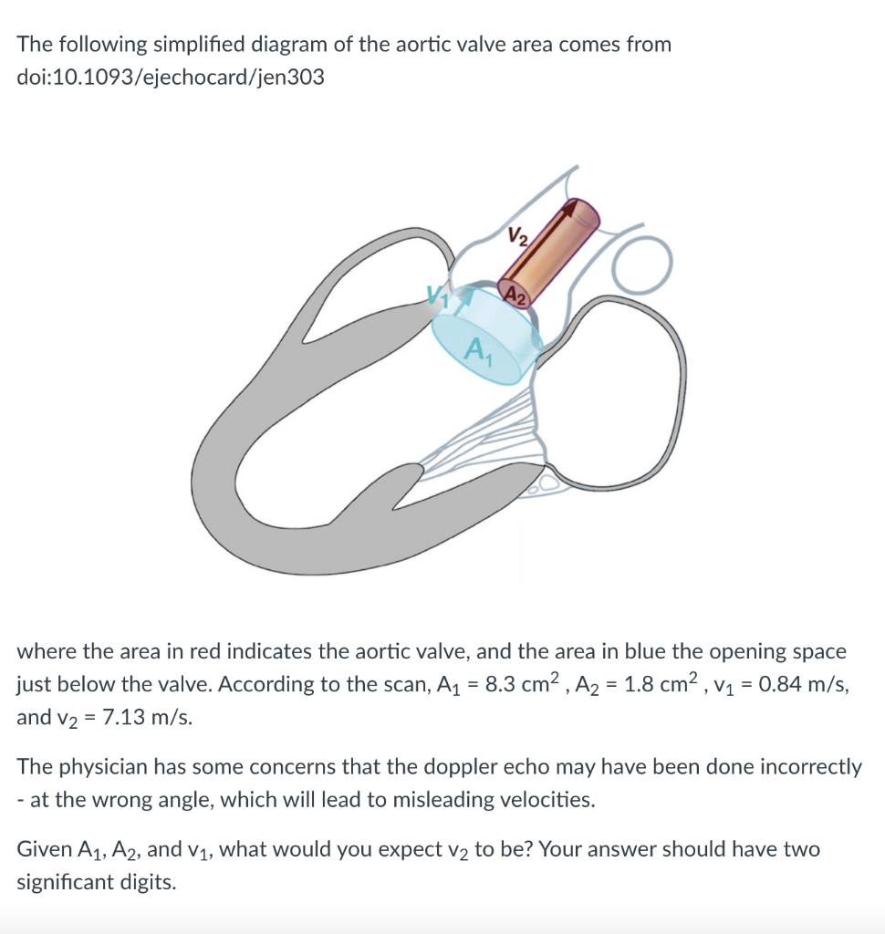 Solved The following simplified diagram of the aortic valve | Chegg.com