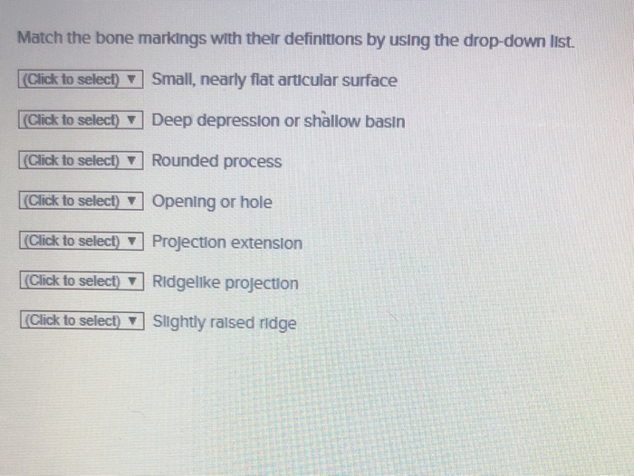 Solved Match the bome markings with their definitions by | Chegg.com