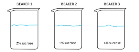 Solved PART A) Describe the solution in each beaker as | Chegg.com