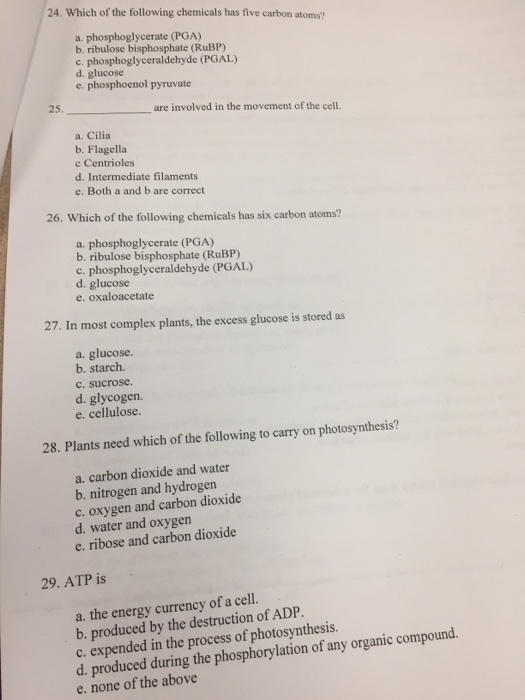 Solved 24. Which of the following chemicals has five carbon | Chegg.com