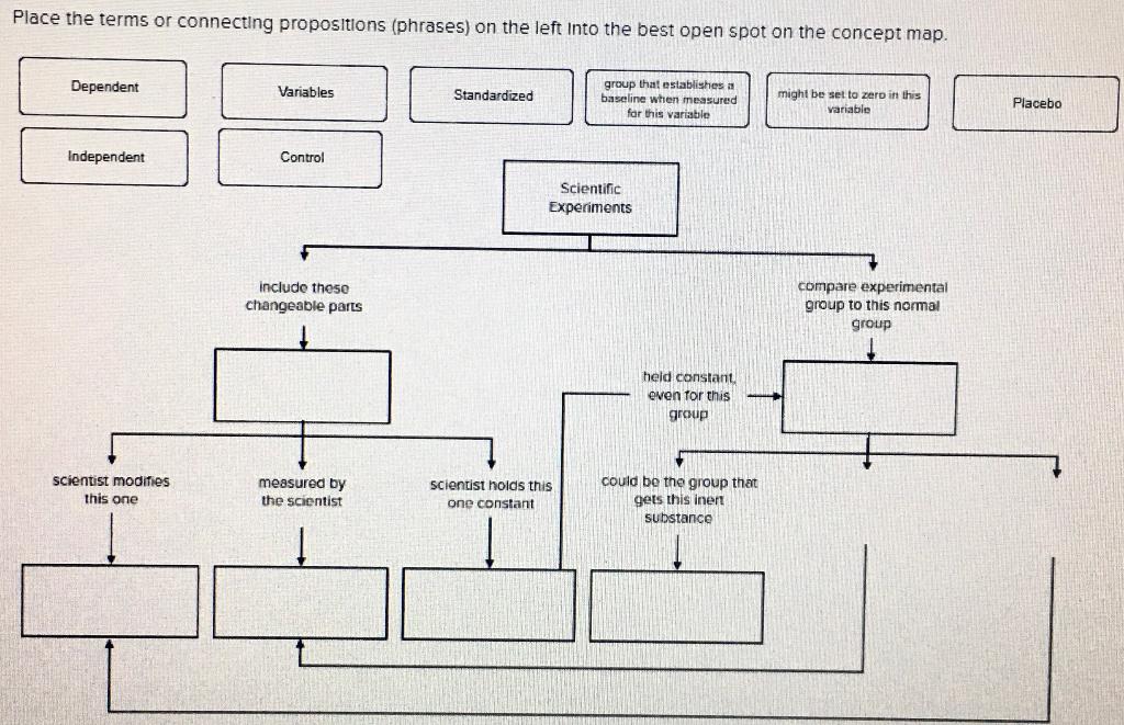 Solved Place the terms or connecting propositions (phrases) | Chegg.com