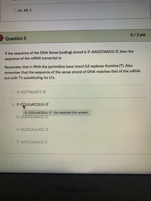 Solved If the sequence of the DNA Sense (coding) strand is | Chegg.com