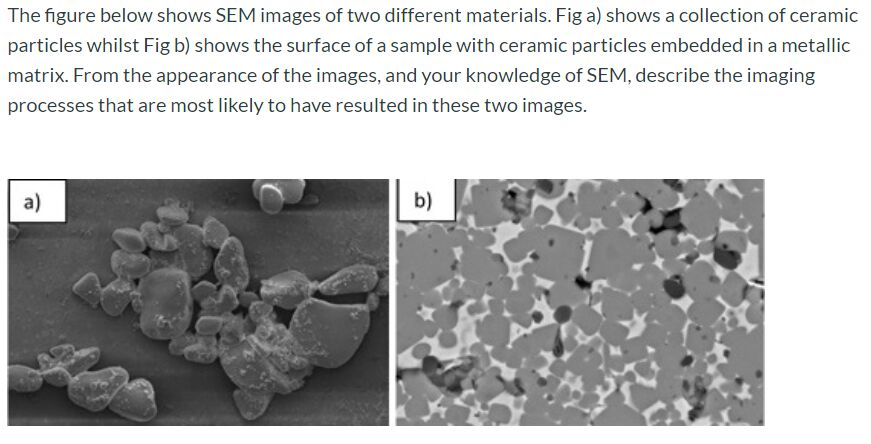 The figure below shows SEM images of two different | Chegg.com