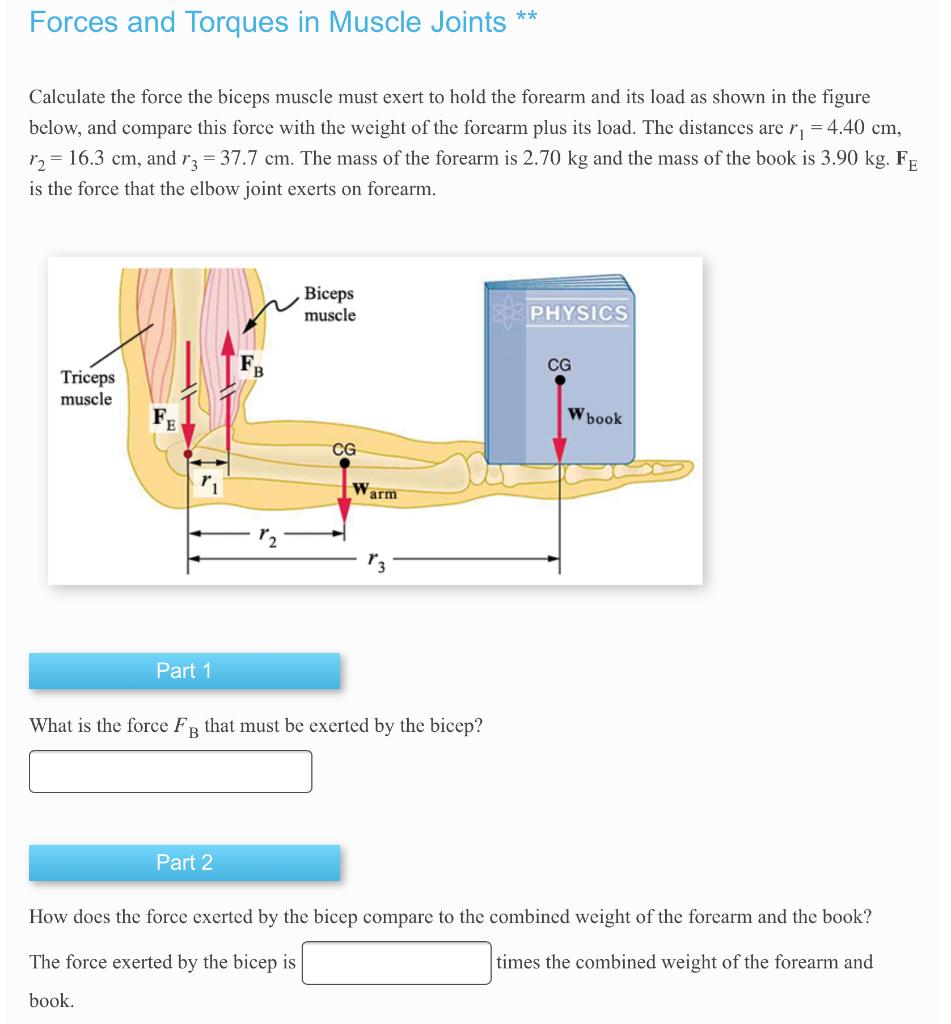 Solved Forces and Torques in Muscle Joints ** Calculate the | Chegg.com