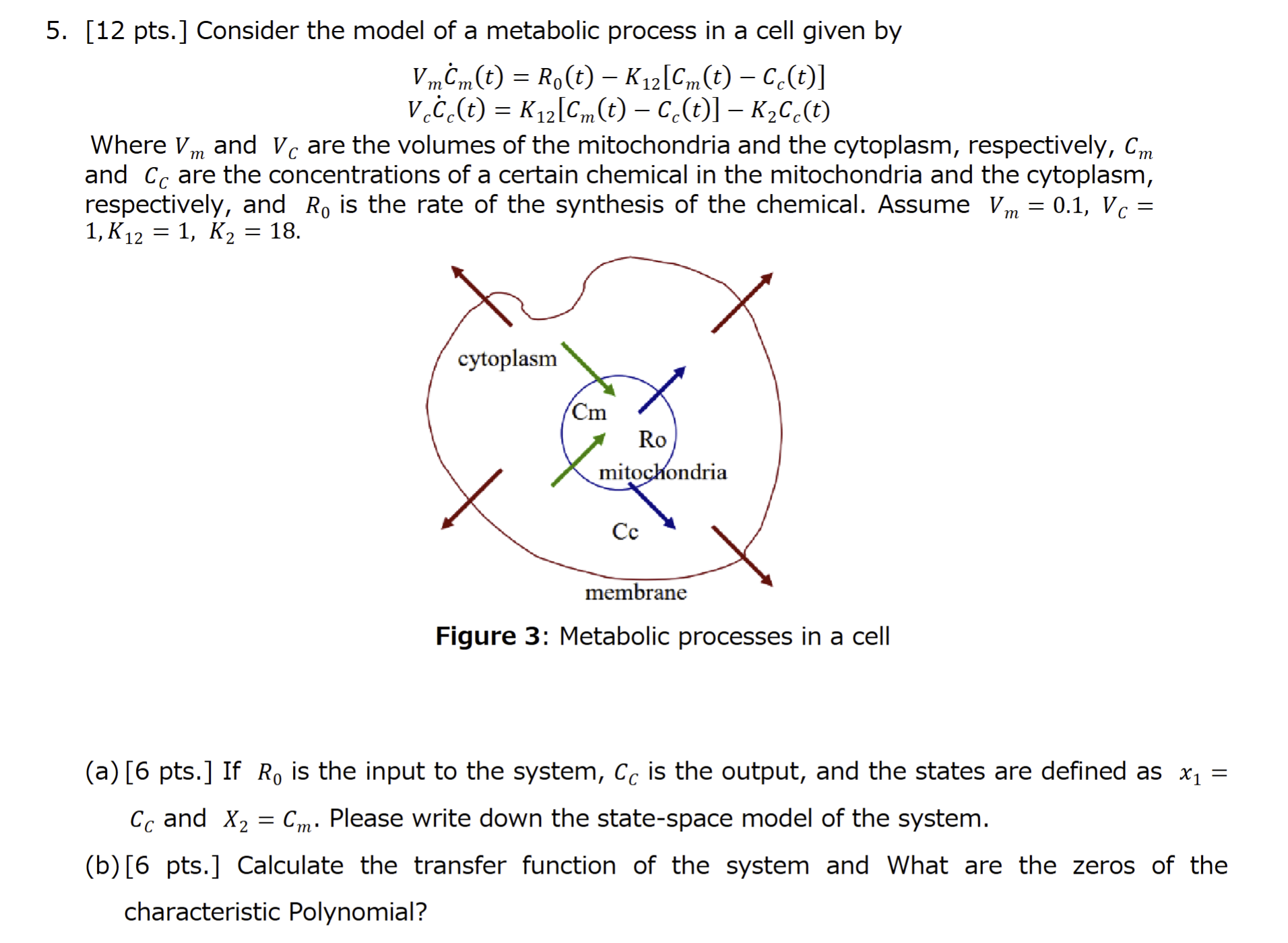 Solved [12 pts.] ﻿Consider the model of ﻿a metabolic process | Chegg.com