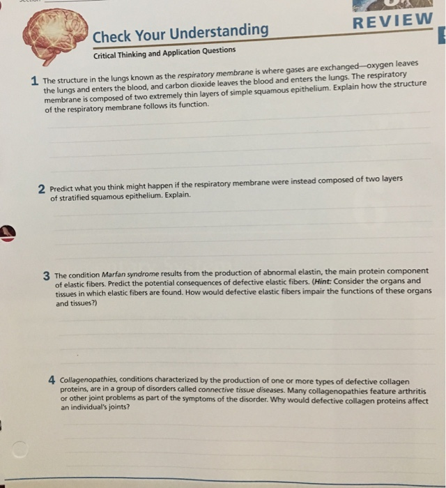 Solved REVIE W Check Your Understanding Critical Thinking | Chegg.com