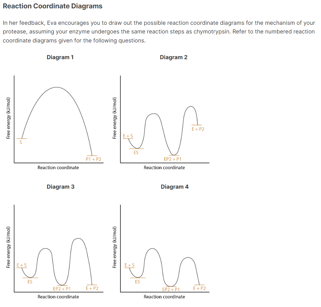 Solved Reaction Coordinate Diagrams In her feedback, Eva | Chegg.com