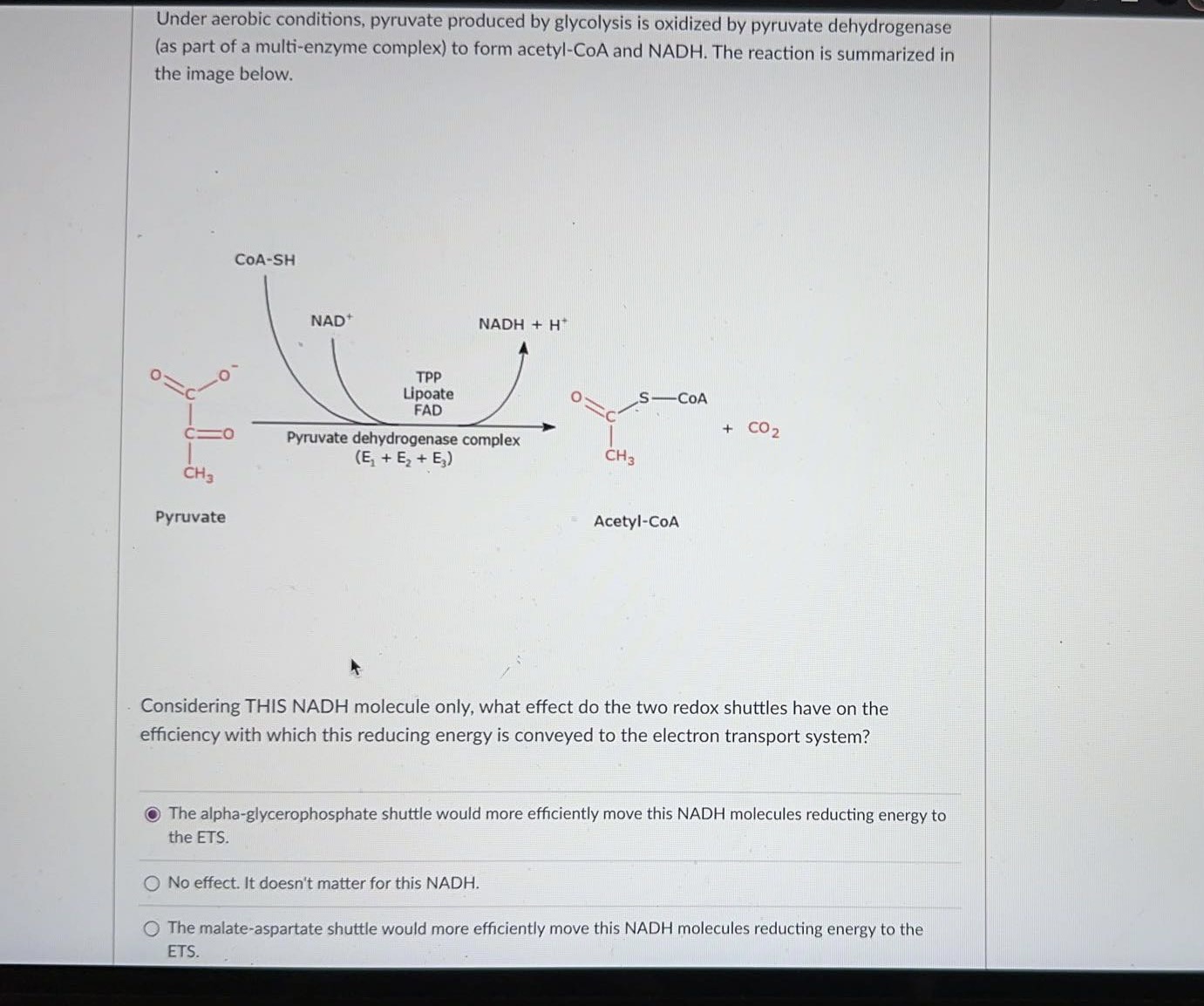 Solved Under aerobic conditions, pyruvate produced by | Chegg.com