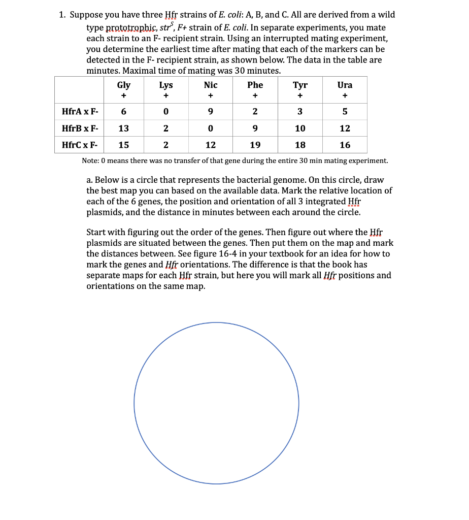 Solved 1. Suppose you have three Hfr strains of E. coli: A, | Chegg.com