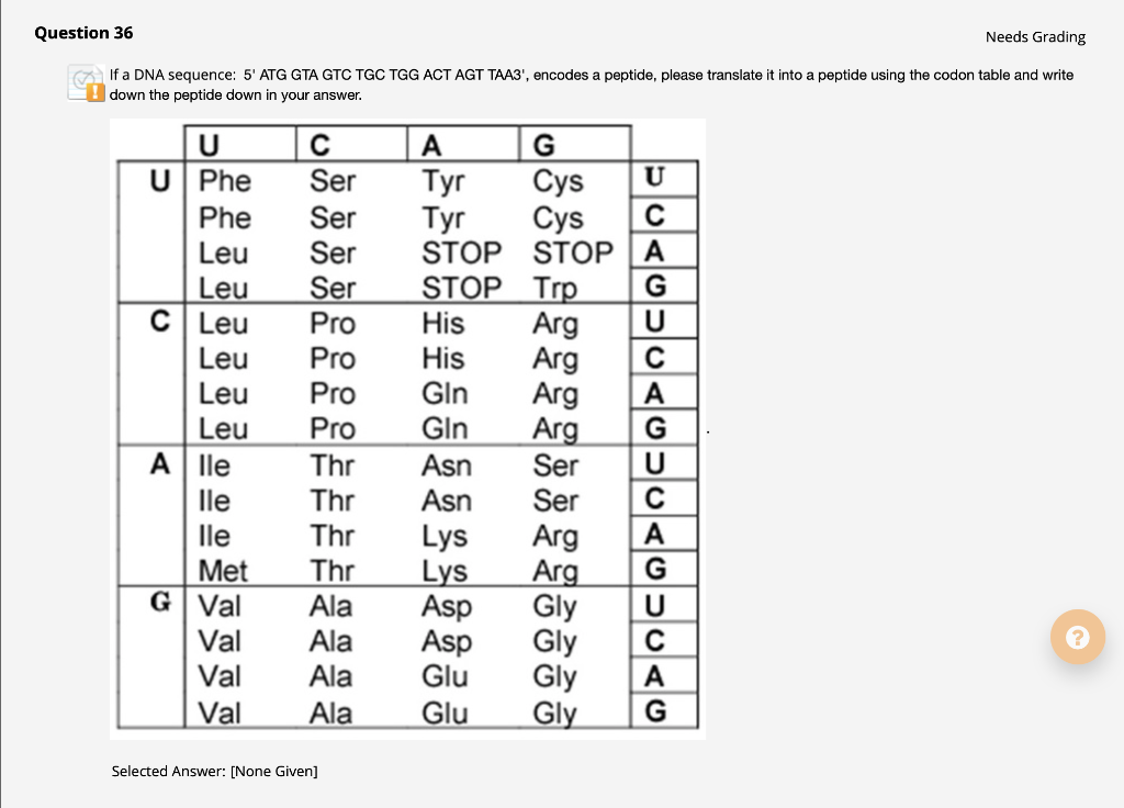 Solved Question 36 Needs Grading If a DNA sequence: 5' ATG | Chegg.com