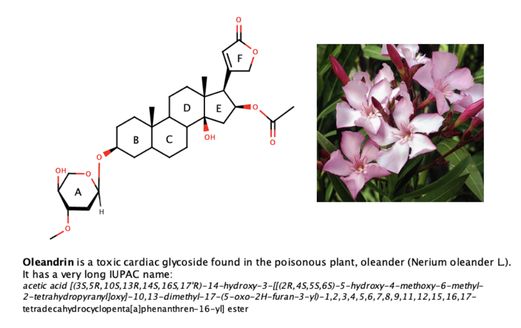 Solved Select all components of oleandrin (one or more | Chegg.com