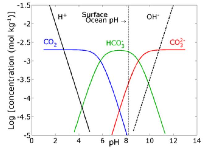 Solved Rank the concentration of CO2, HCO3- and CO23- from | Chegg.com