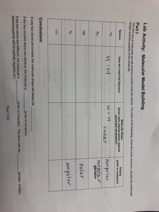 Solved Lab Activity: Molecular Model Building Part I The | Chegg.com