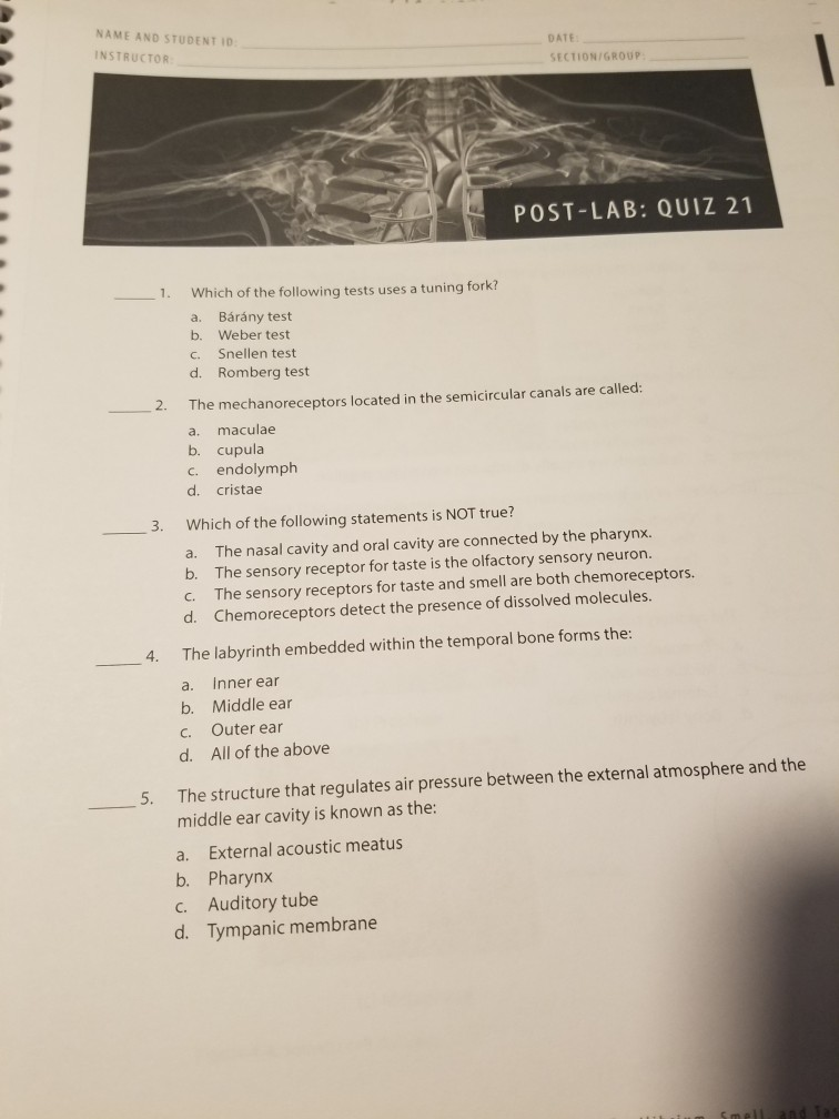 Solved: NAME AND STUDENT ID INSTRUCTOR DATE SECTION/GROUP ... | Chegg.com