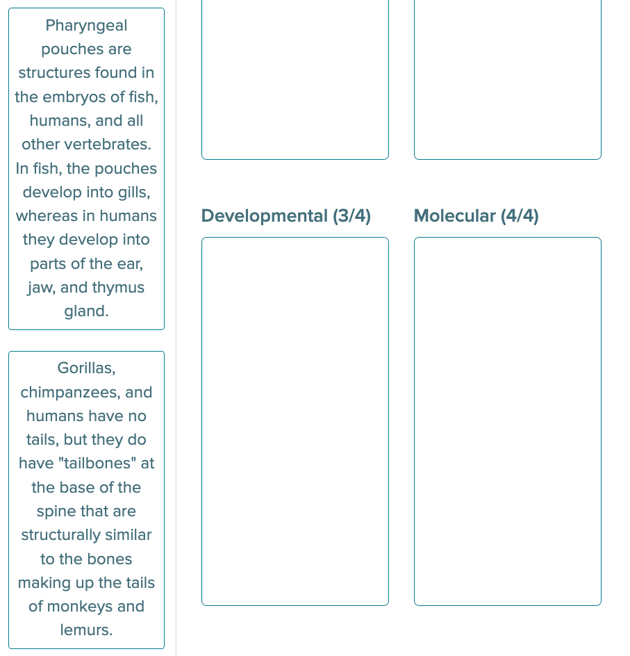 Solved Examples Of Evolutionary Evidence Classify Each 8504