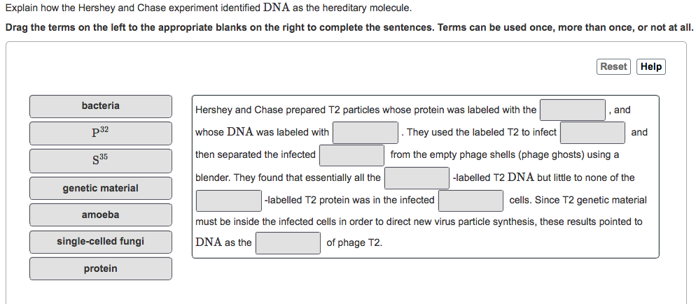 Solved Explain how the Hershey and Chase experiment | Chegg.com