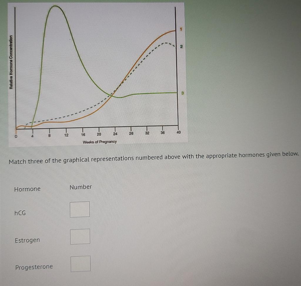 Solved 2 Pidative Hormone Concentration 20 24 26 32 12 16 36 | Chegg.com