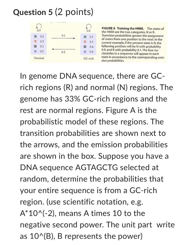 Solved In genome DNA sequence, there are GC-rich regions (R) | Chegg.com