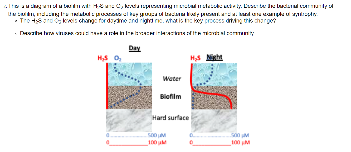 Solved 2. This is a diagram of a biofilm with H2 S and O2 | Chegg.com