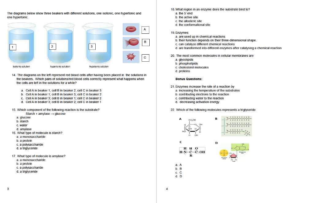 Solved 18. What region in an enzyme does the substrate bind | Chegg.com