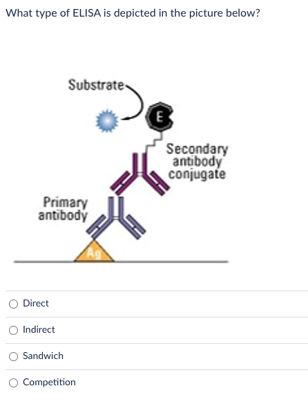 Solved What type of ELISA is depicted in the picture below? | Chegg.com