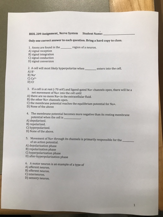 Solved BIOL 209 Assignment Nerve System Student Name: Only | Chegg.com