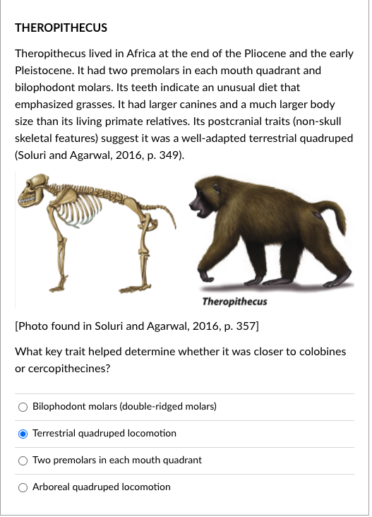 Solved PLESIADAPIFORMS In 2002, researchers reported the | Chegg.com