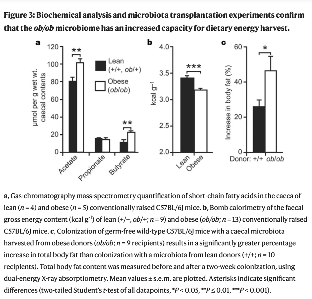 Solved Figure 3: Biochemical analysis and microbiota | Chegg.com