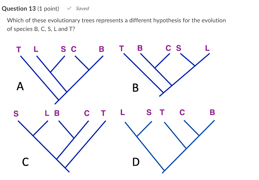 Solved Question 13 (1 point) SavedWhich of these | Chegg.com Solved Question 13 (1 point) SavedWhich of these | Chegg.com