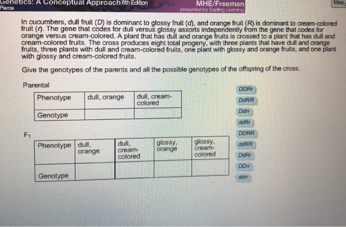 Solved Mapc eneticS: A Conceptual Approach 6th Edition | Chegg.com