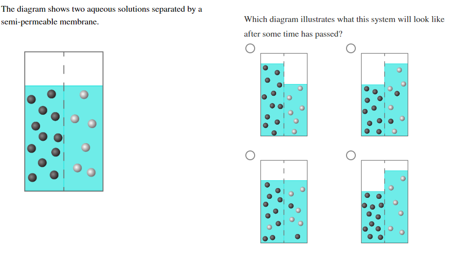 Solved The diagram shows two aqueous solutions separated by | Chegg.com