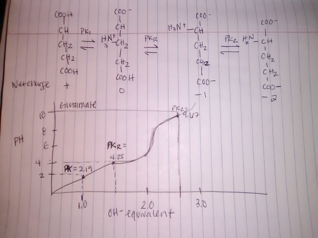Solved 1. What is the net charge of glutamate at pH 2.19? | Chegg.com